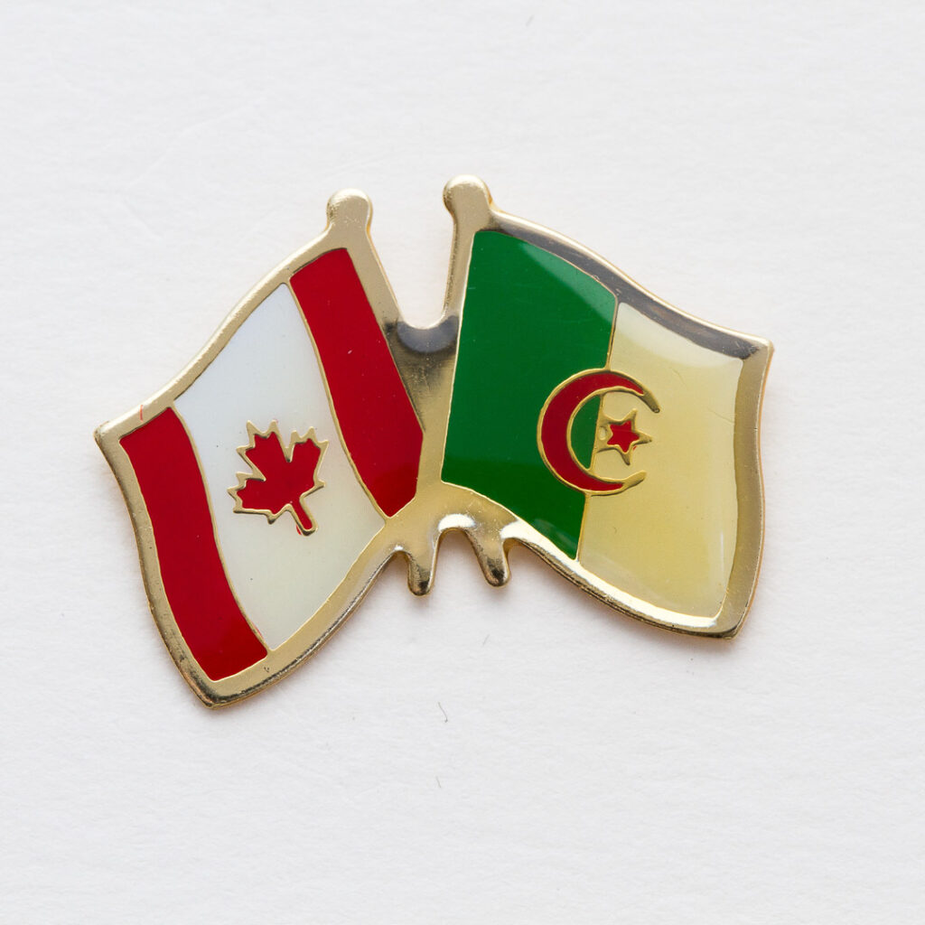 Algeria Friendship Pin - Flag Matrix