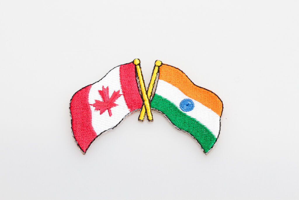 India Friendship Patch - Flag Matrix