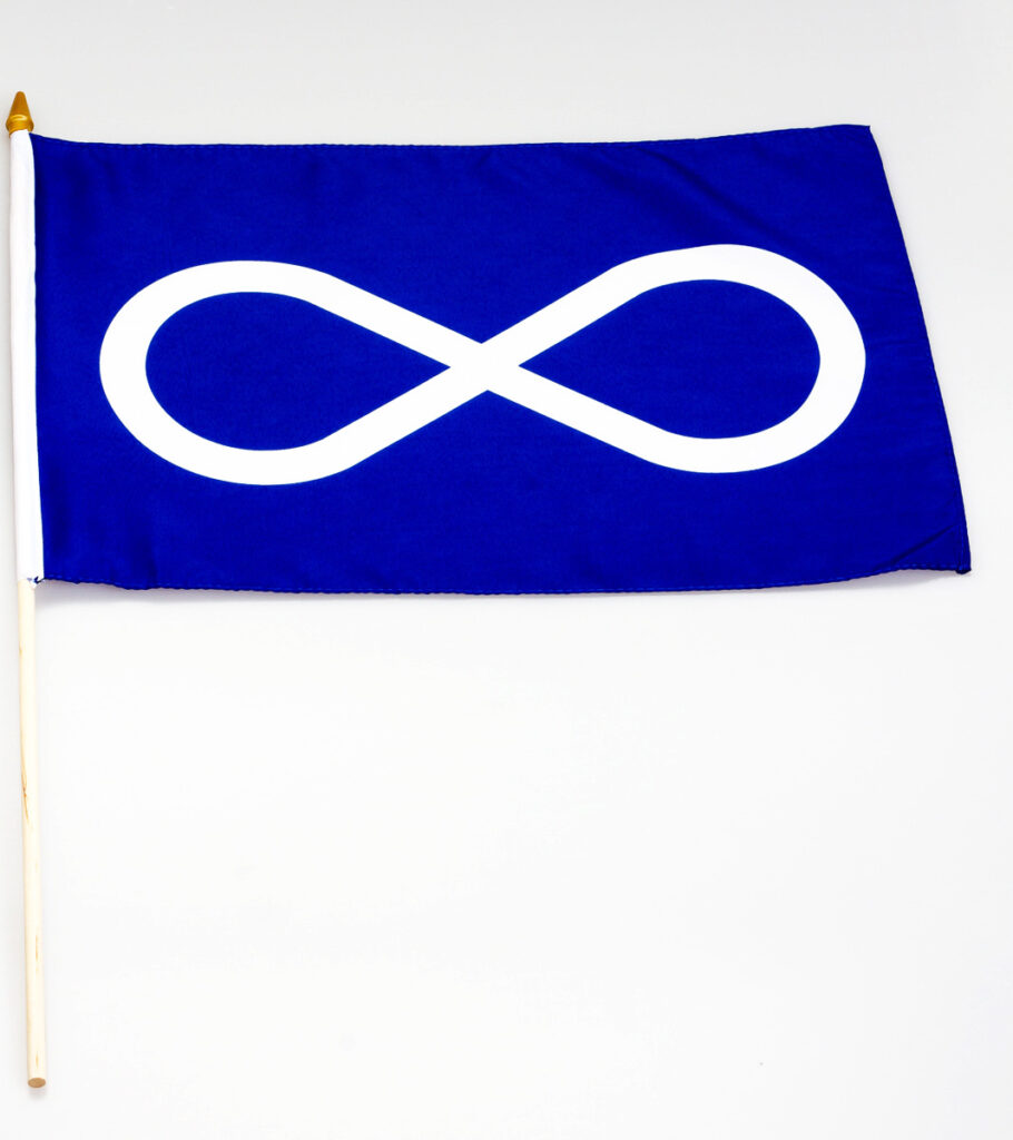 Metis (Blue) 12x18 Flag - Flag Matrix