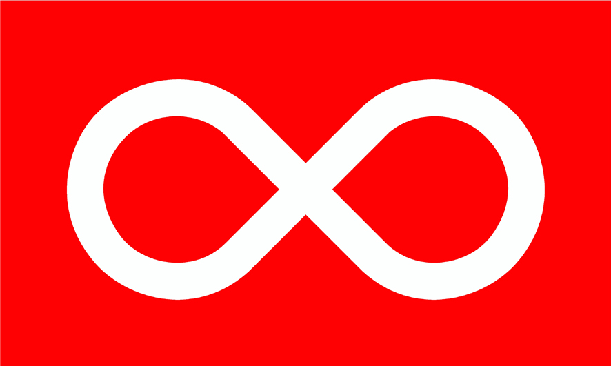 Metis (Red) 36x60 Flag - Flag Matrix