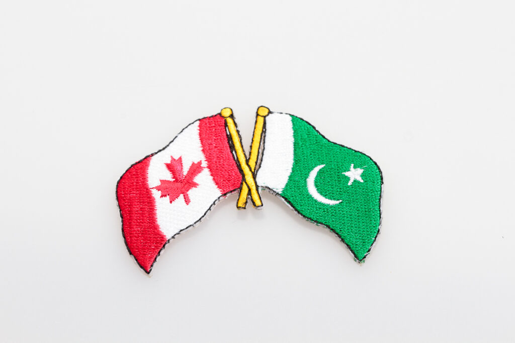 Pakistan Friendship Patch - Flag Matrix