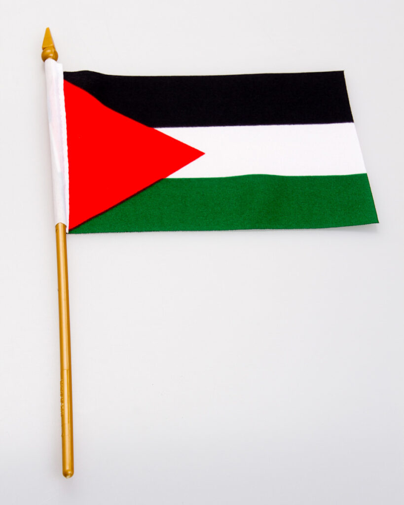 Palestine 4x6 Flag - Flag Matrix