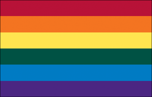 Rainbow 24x36 Flag - Flag Matrix
