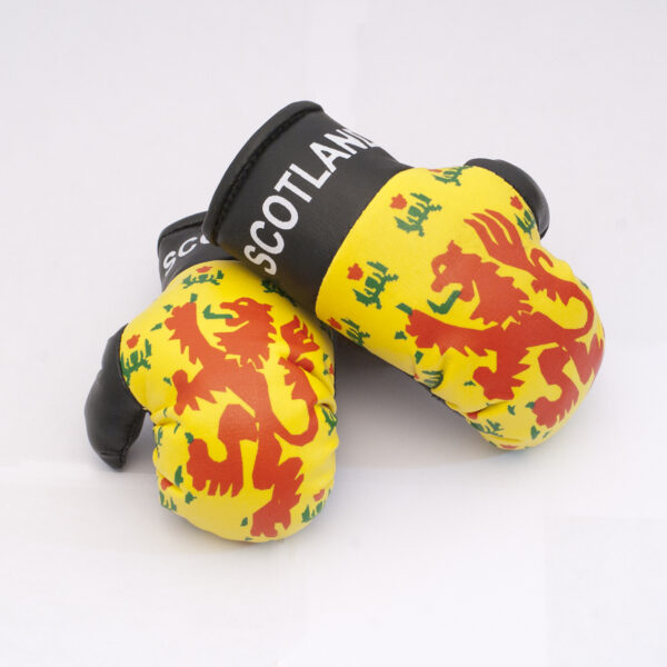 Scotland Boxing Gloves - Flag Matrix
