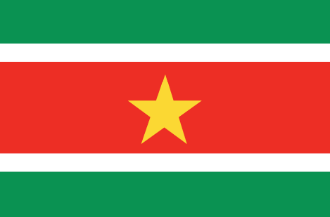 Surinam 36x60 Flag - Flag Matrix