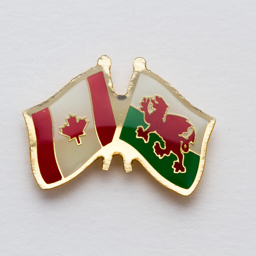 Wales Friendship Pin - Flag Matrix