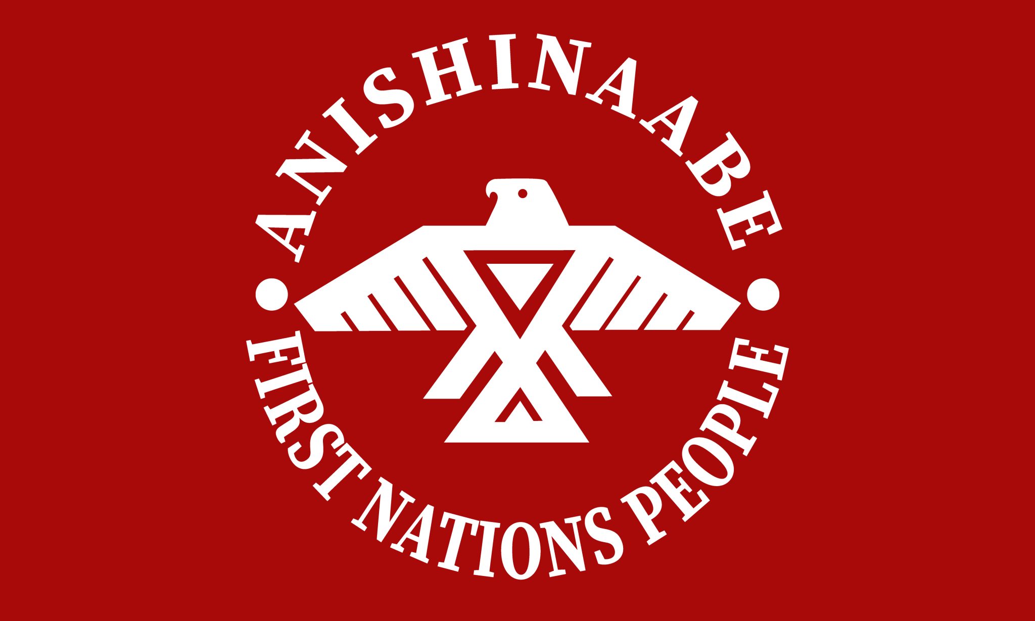 Anishinaabe 36x60 Flag - Flag Matrix