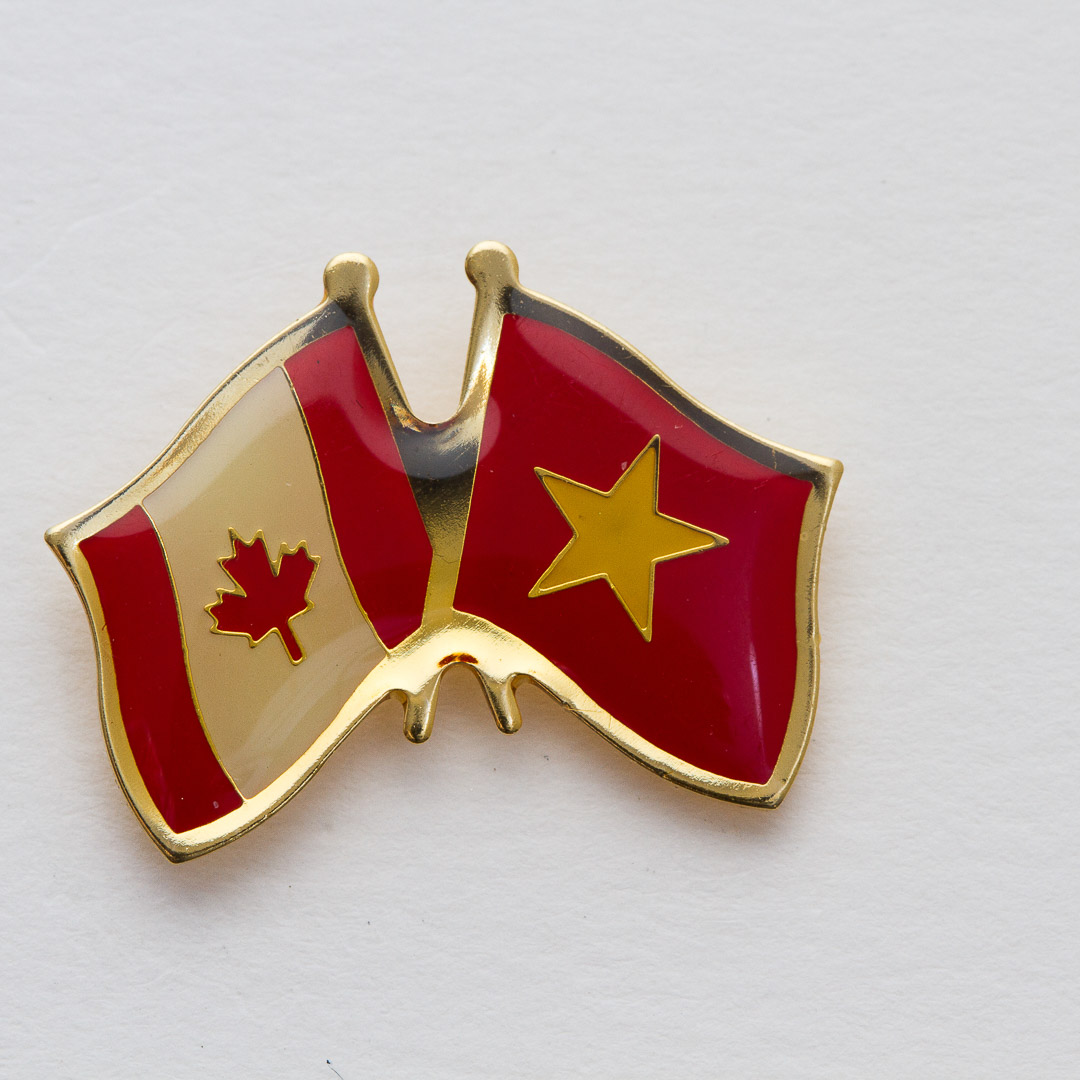 Vietnam Friendship Pin - Flag Matrix
