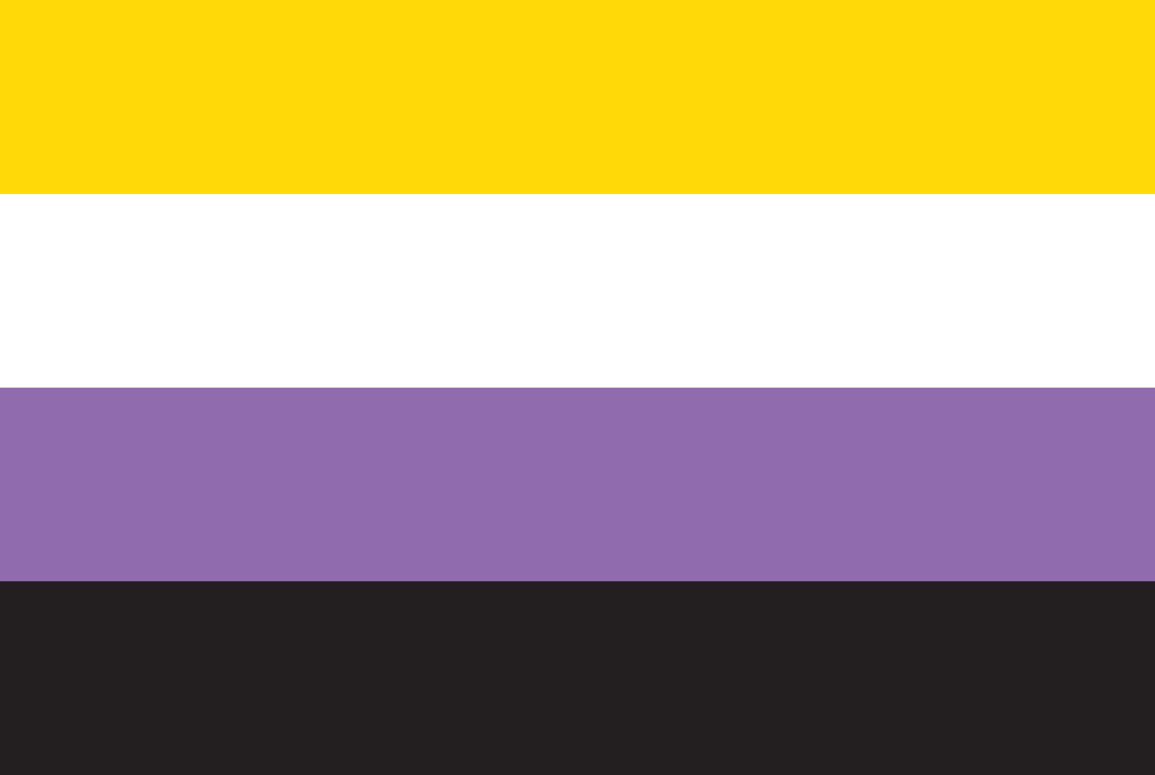 Gender Non-Binary 4x6 Flag - Flag Matrix
